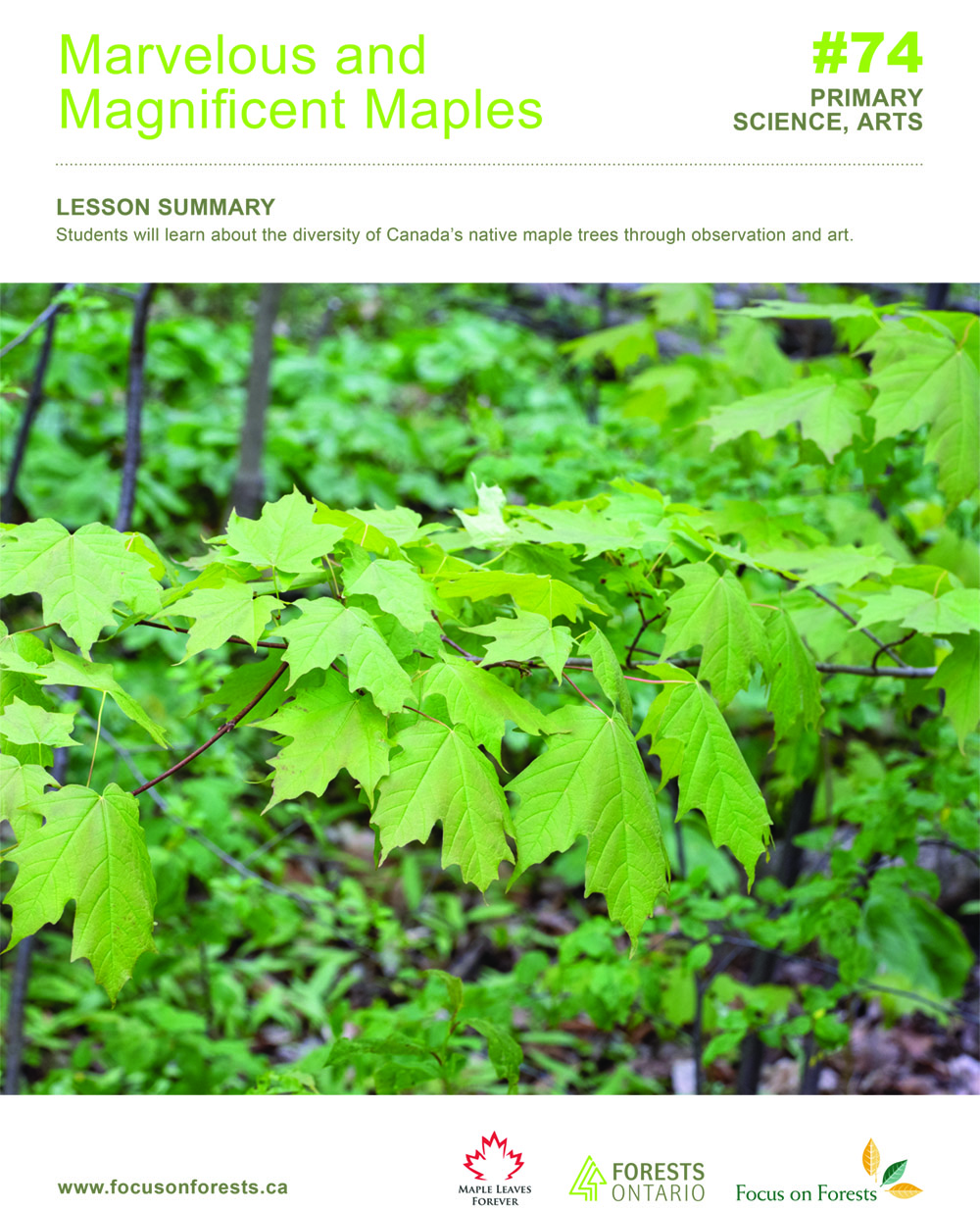 Maple Leaves Forever