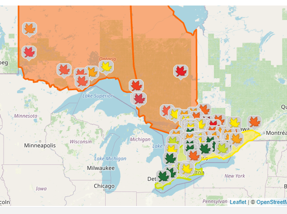 Native Maples Show their True Colours in Fall – Maple Leaves Forever