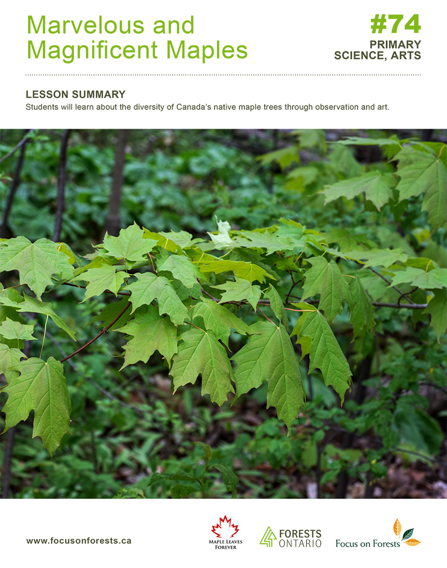 Maple Leaves Forever